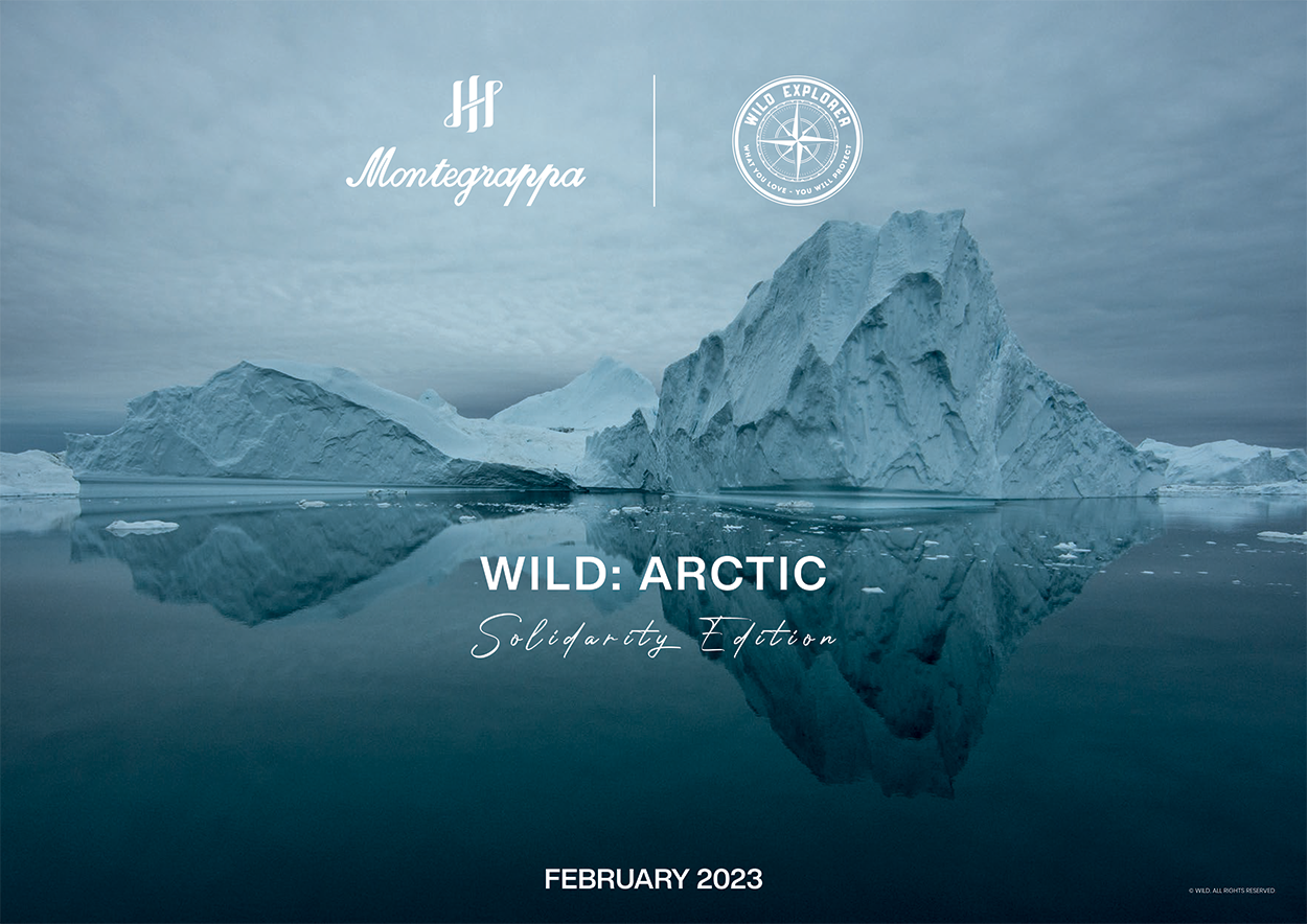 Montegrappa Wild: Arctic – Kenro Industries